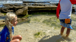 Land for Sale Two Rocks - House and Land Two Rocks